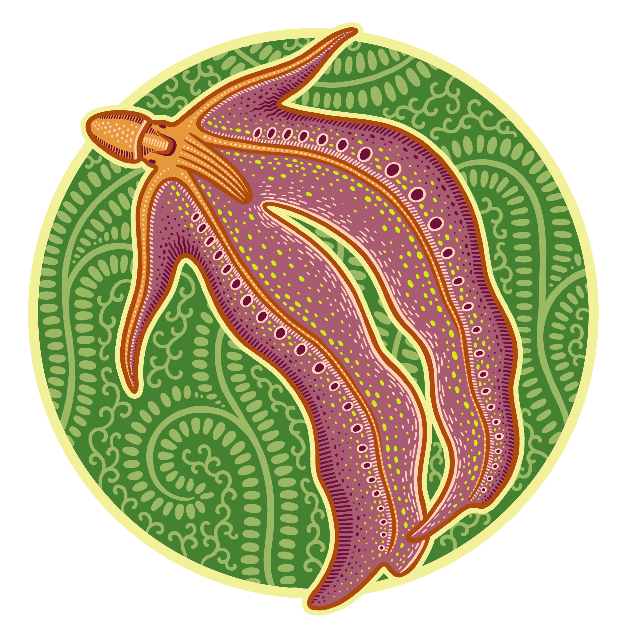 Sea Of Support - Science Friday