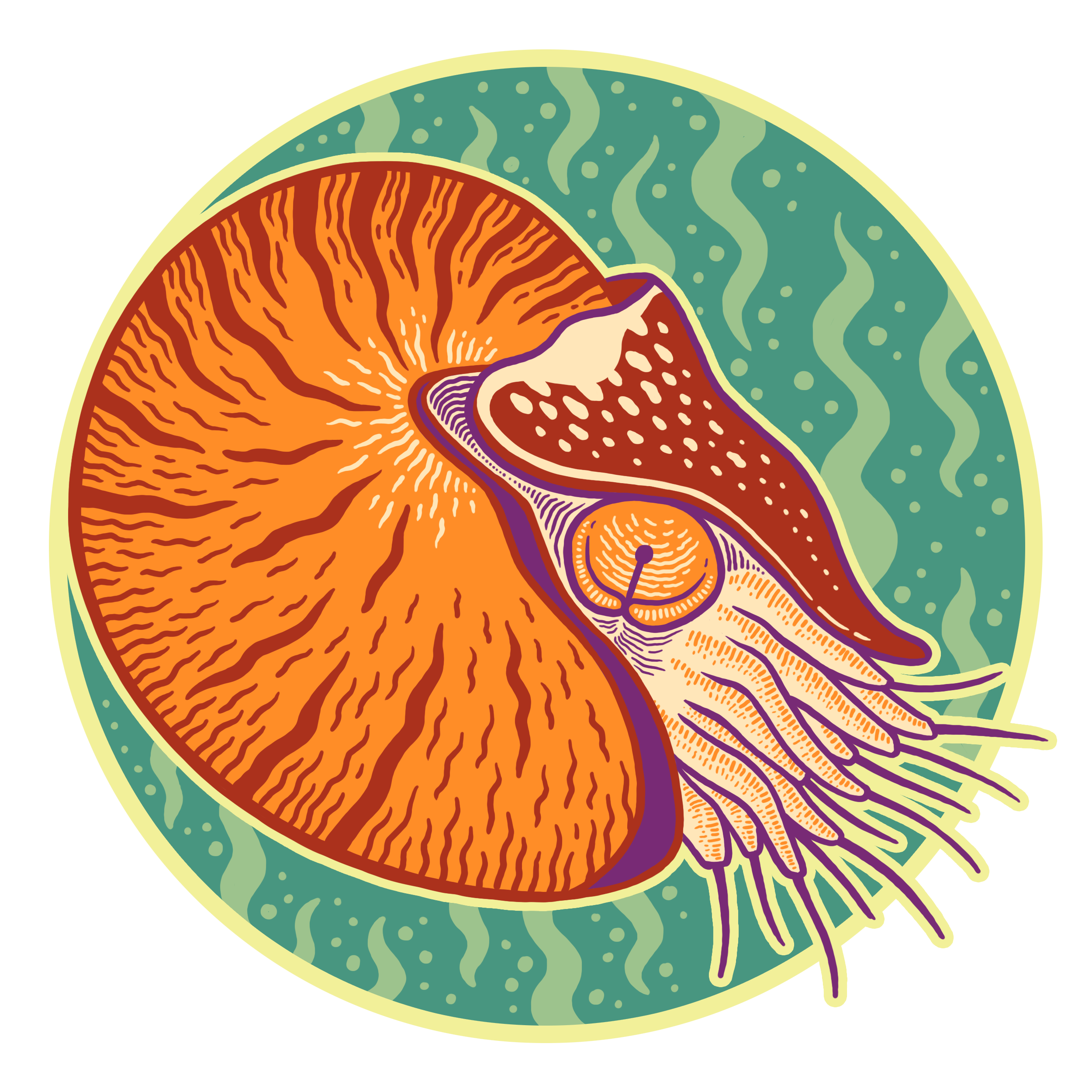 Sea Of Support - Science Friday